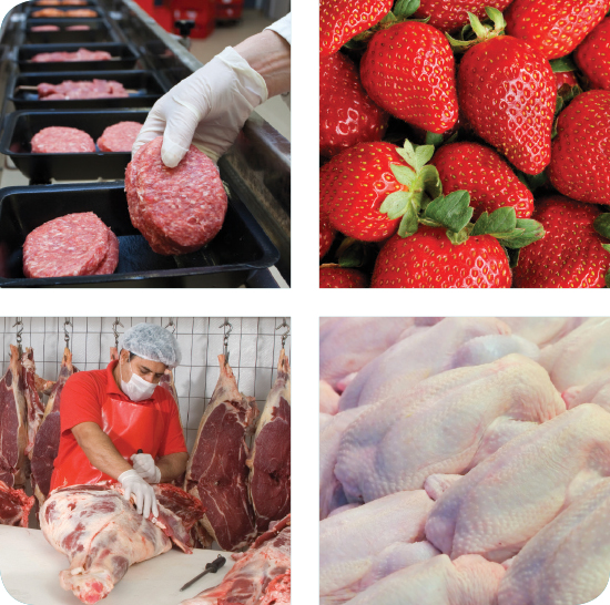 WDS_Food Processing - Ecas4